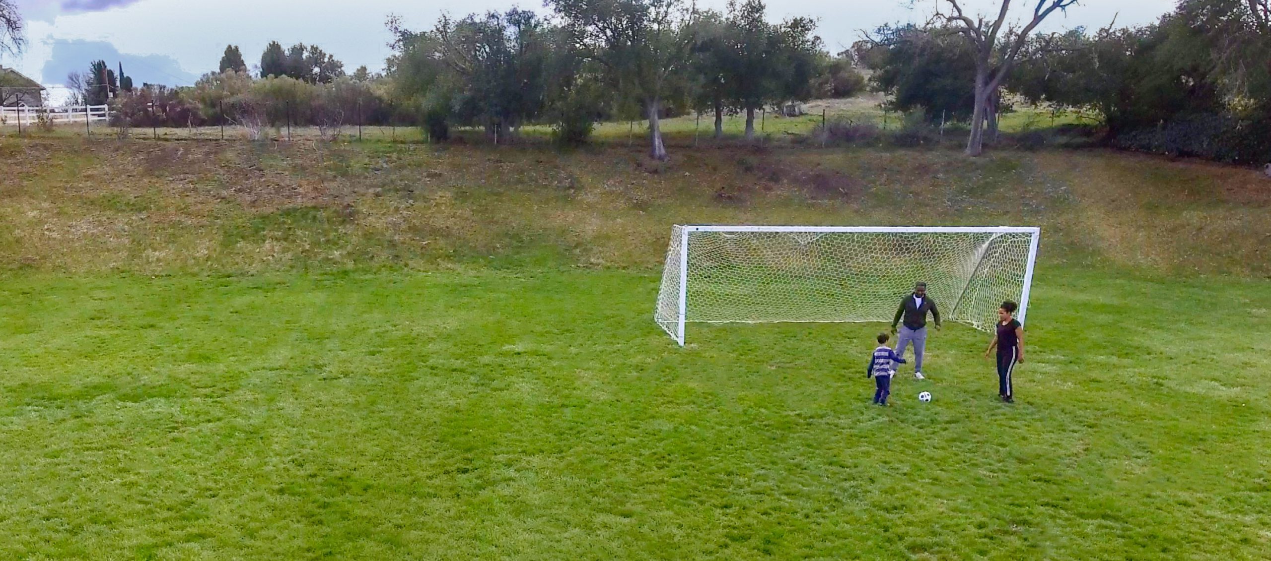 How HFX for PDN Works – HFX for PDN